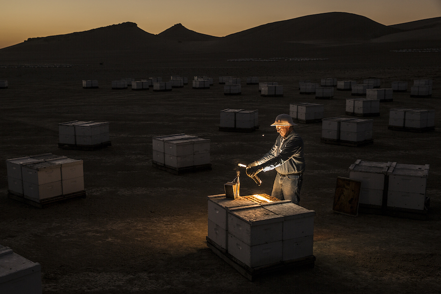 Anand Varma - The Photo Society